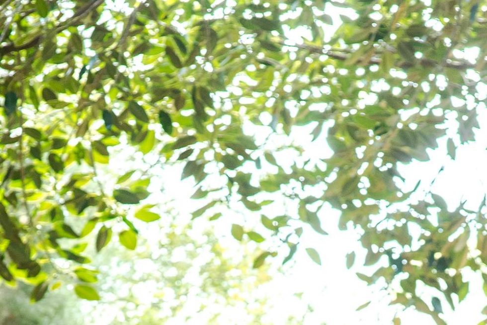 Rushing Women's Syndrome - Welcome to Wellness